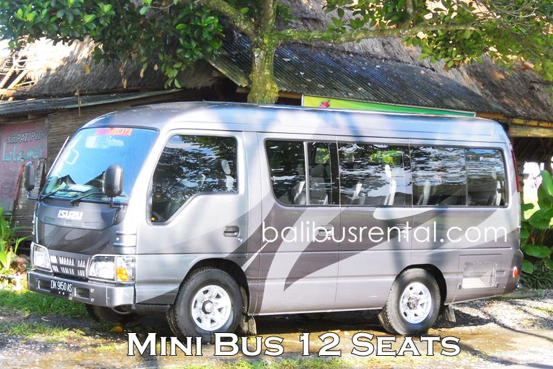 Isuzu Elf 12 Seats Rental Bali Charter ELF Short Bali Bali Bus Rental Isuzu Elf 12 Seats Rental Bali Charter ELF Short Bali Bali Bus Rental